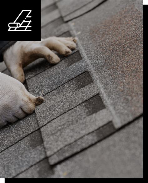 Commercial Services Alamo Roofing