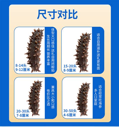 工厂批发代发大连海参即食鲜食海参单个装辽参刺参500g开袋即食 阿里巴巴