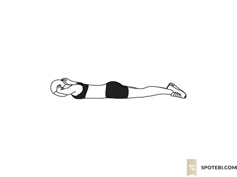 Back Extensions Illustrated Exercise Guide