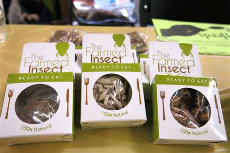 Will Americans Buy Bug Snacks Maybe If They Re Funny And Cute