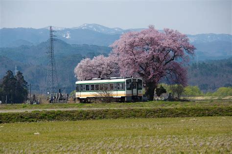 まーココア会津鉄道 まーくんお散歩写真館