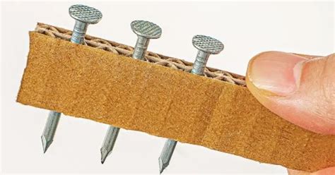 Lamento No Haber Aprendido Este Secreto A Los A Os