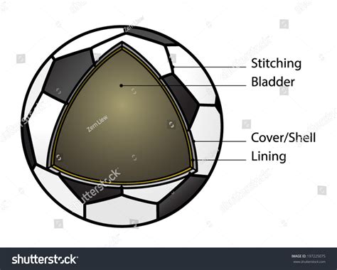 Cut Away Diagram Showing Construction Soccer Ball Stock Vektorgrafik