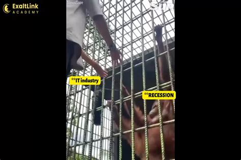 Exaltlink Academy On Linkedin Salesforcecareers Salesforce Recession Salesforcelayoffs…