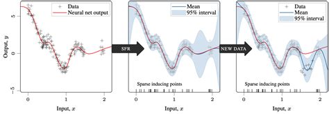 Sfr Sparse Function Space Representation Of Neural Networks Sfr