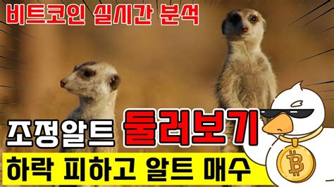 비트코인 실시간 방송 편안하게 알트코인 살꺼 둘러 봅시다~ Youtube