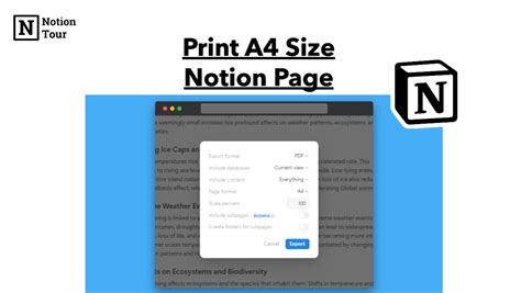 How To Check Word Count In Notion Notion Tour