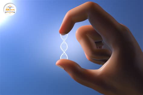 Dna And Rna Difference In Hindi Dna और Rna में अंतर हिंदी में