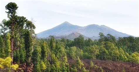 Aprender A Programar Con Python Primeros Scripts Aprender A Programar Con Python Primeros Scripts