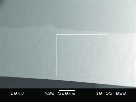 Weld Overlay Microstructure ×500 Download Scientific Diagram