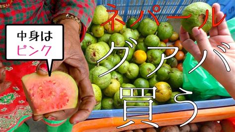 ネパールでピンクの果肉のグアバ買う【果物】buy Pink Flesh Guava In Nepal Youtube