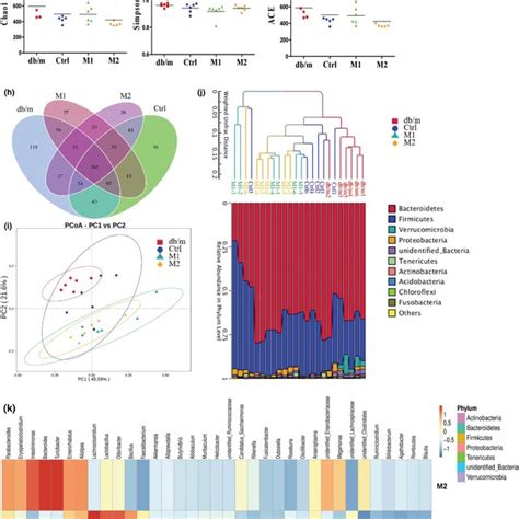 Microbiome Analysis Of The Fecal Samples Fresh Fecal Samples Of Each