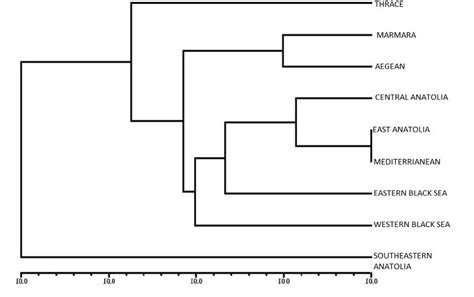Phylogenetic Tree According Upgma Un Weighed Pair Group Method Method
