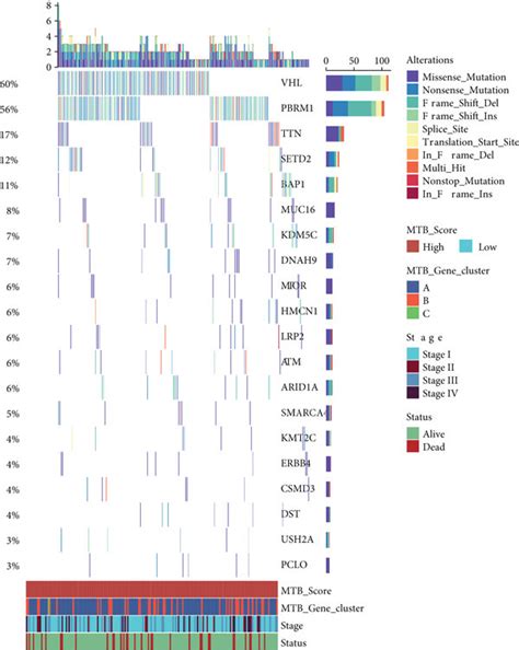 The Association Between The Mtb Score And Somatic Mutation A Download Scientific Diagram