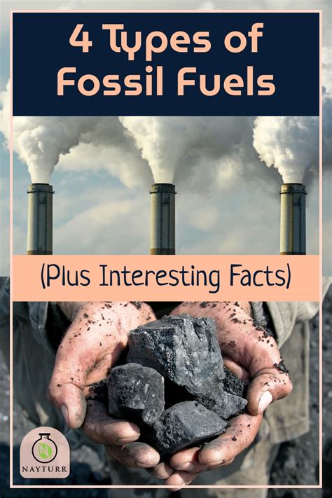 Types Of Fossil Fuels Plus Interesting Facts Nayturr