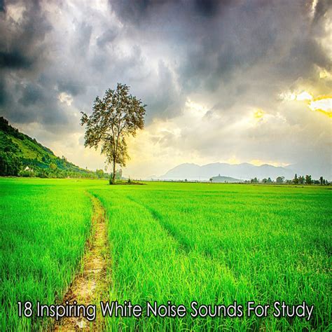 18 Inspiring White Noise Sounds For Study Album By White Noise