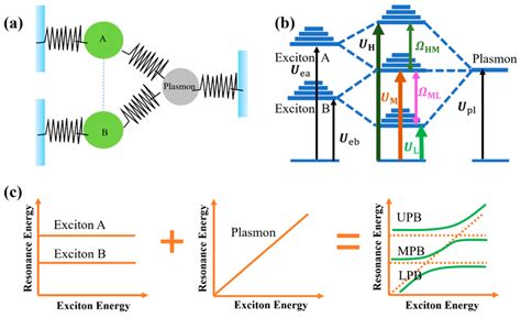 A Schematic Diagram Of The Three Coupled Oscillator Model B Download Scientific Diagram
