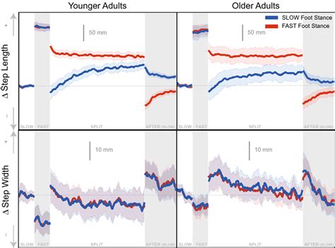 Spatial Gait Parameters Adaptation Time Series Graphs For Younger Left Download Scientific