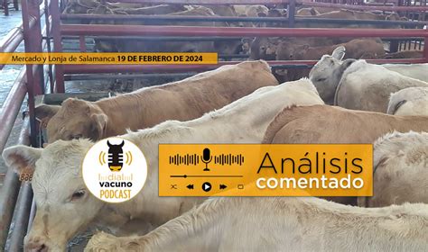 Análisis de la lonja y mercado de ganado de Salamanca de febrero Vacuno de élite Pasión