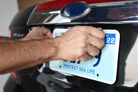 Cómo consultar un historial vehicular por placa Autolab