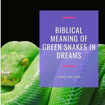 Biblical Meaning Of Green Snakes In Dreams Explained Interpretation