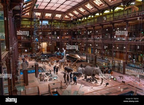 Grande Galerie De Lévolution Muséum National Dhistoire Naturelle