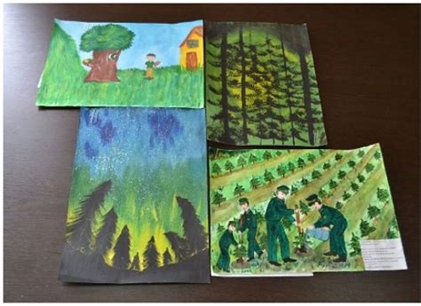 Белгородских школьников приглашают поучаствовать в конкурсе «Лес наш главный интерес Большая