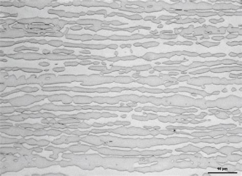 Investigated 2101 Dss Microstructure Electrochemical Etching Naoh