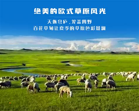 周五晚发又见乌兰布统越野车深入草原腹地の将军泡子 影视基地 公主湖 下马酒 篝火晚会 预约报名 周末假期户外旅行活动 活动行