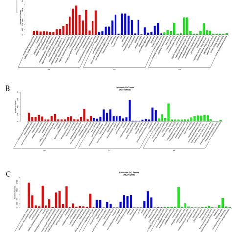 Comparison Of Gene Expression Patterns Obtained Using Rna Seq And