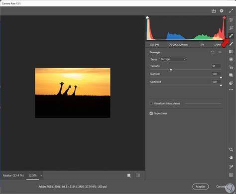 Abrir Y Usar Camera Raw Photoshop Instalar Solvetic