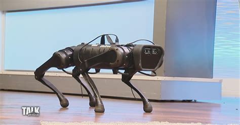 Robots From Cmus School Of Computer Science Cbs Pittsburgh