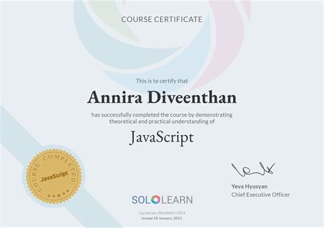 annira diveenthan on linkedin java codingskills sololearn