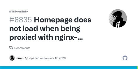 Homepage Does Not Load When Being Proxied With Nginx Ingress · Issue