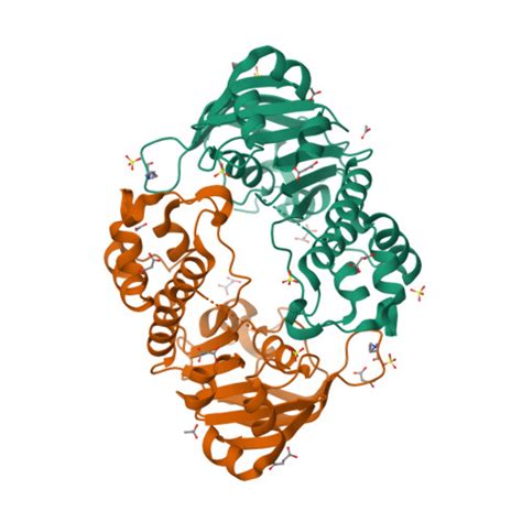 RCSB PDB 5EUM 1 8 Angstrom Crystal Structure Of ATP Binding