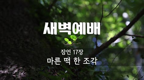 하루 한장 잠언 17장 마른 떡 한 조각 Youtube