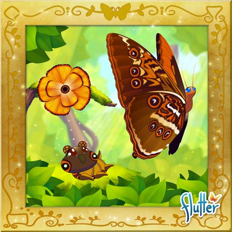 Sunset Morpho Flutter Butterfly Sanctuary Wiki Fandom
