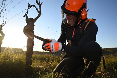 Weingärten And Olivenhaine Dr Weiand