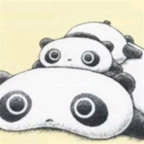 𝓦偉恩⚜趴趴熊 5630673 浪live直播 歌唱才藝直播平台