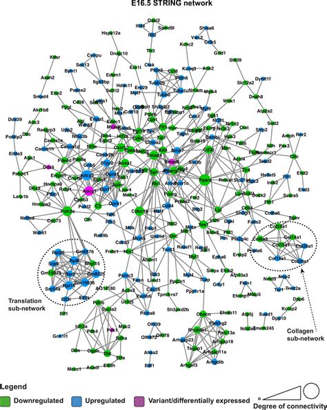 Figures And Data In Quantitative Trait And Transcriptome Analysis Of Genetic Complexity