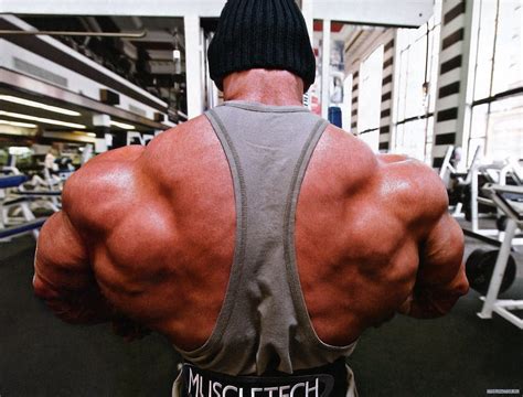 Branch Warren Back
