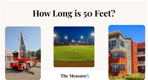 How Big Is 50 Feet With Practical And Visual References The Measurex