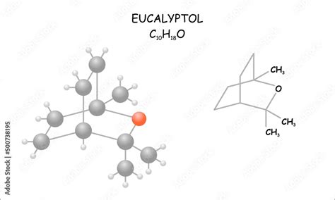 Stylized Molecule Model Structural Formula Of Eucalyptol Use As Fragrance In Cosmetics Stock