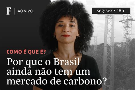 Por que o Brasil ainda não tem um mercado de carbono 04 07 2024 Tv