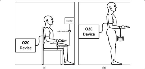 Positioning And Set Up During The Tasks A Pulling Isometric Muscle