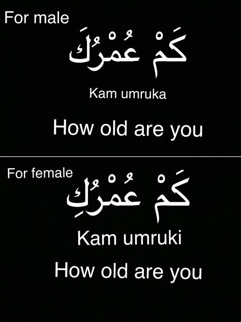 Learning Arabic Msa Fabiennem Learn Arabic Language Artofit