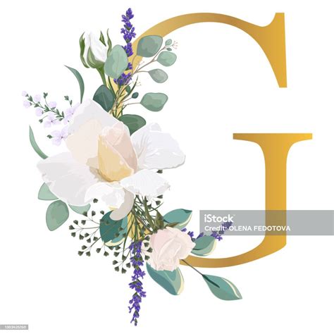 꽃 알파벳 식물 꽃다발과 함께 문자 전자를 설정합니다 결혼식 초대장 인사말 카드 생일 로고 포스터 다른 아이디어 0명에 대한 스톡 벡터 아트 및 기타 이미지 Istock