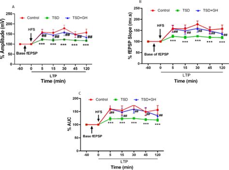 Long Term Potentiation Ltp Recorded From Hippocampal Dentate Gyrus Of