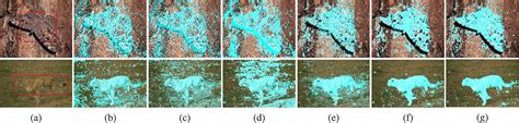 figure 1 from interactive image segmentation based on level sets of