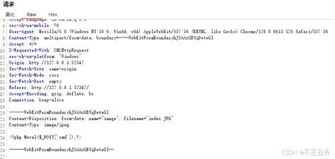 寒假归来，小白的我去了西电开始ctf（web篇第三天01）（burpsuit的安装与简单的使用）西电ctf终端怎么用 Csdn博客